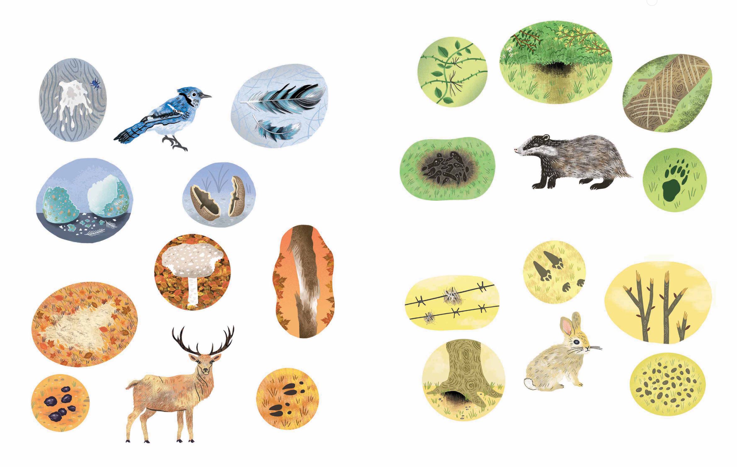 Natalie Hughes Illustration | Usborne Woodland Book
