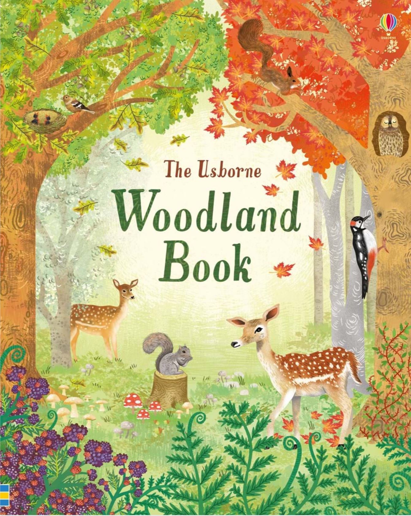 Natalie Hughes Illustration | Usborne Woodland Book